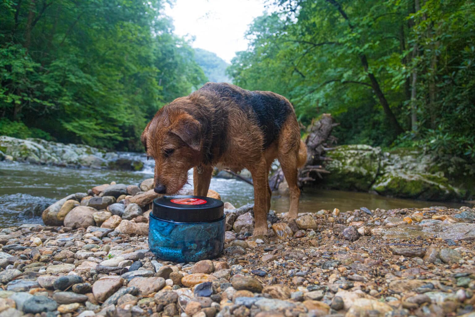 Bear Boxes for Camping - BearVault®