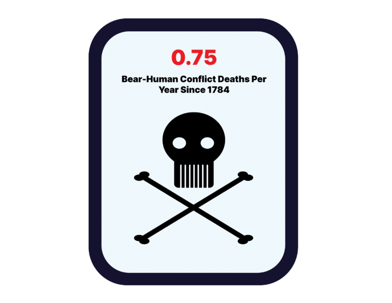 Bear Attack Statistics - BearVault®